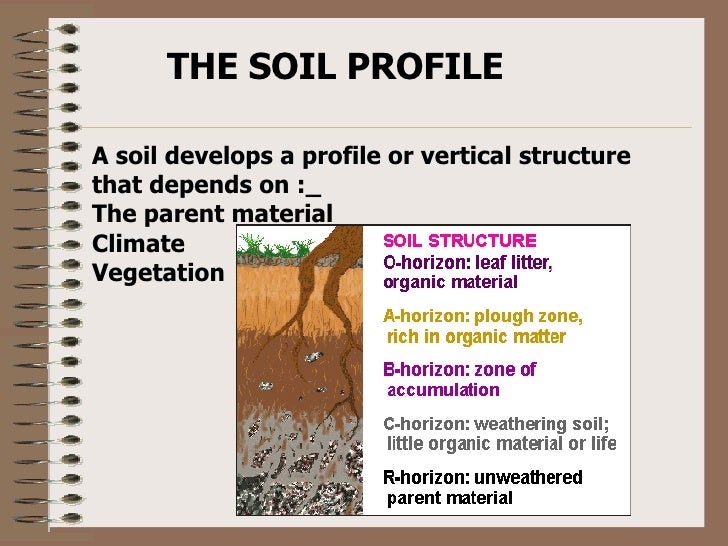 Soil Profile Diagrams Labelling Soil Profile Diagram Worksheet | Soil