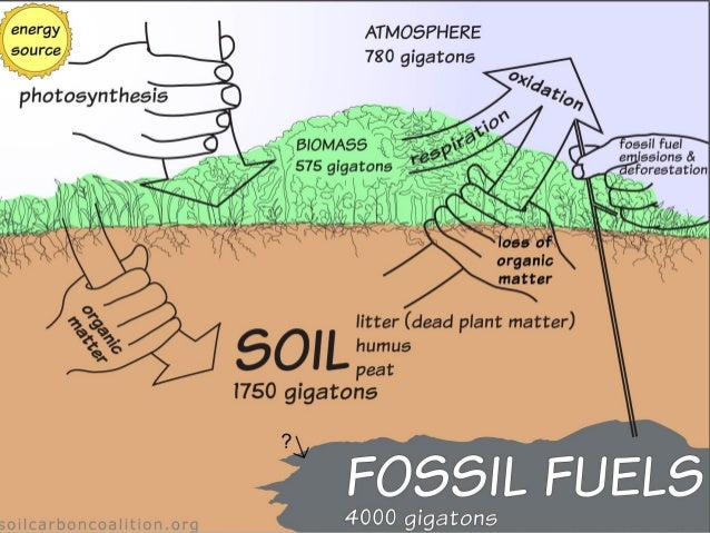 Soil regeneration for healthy farms and resiliency