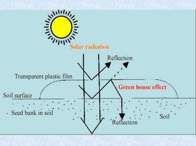 Soil solarization by vikas Bamel (2011) | PPT | Agriculture | Industries