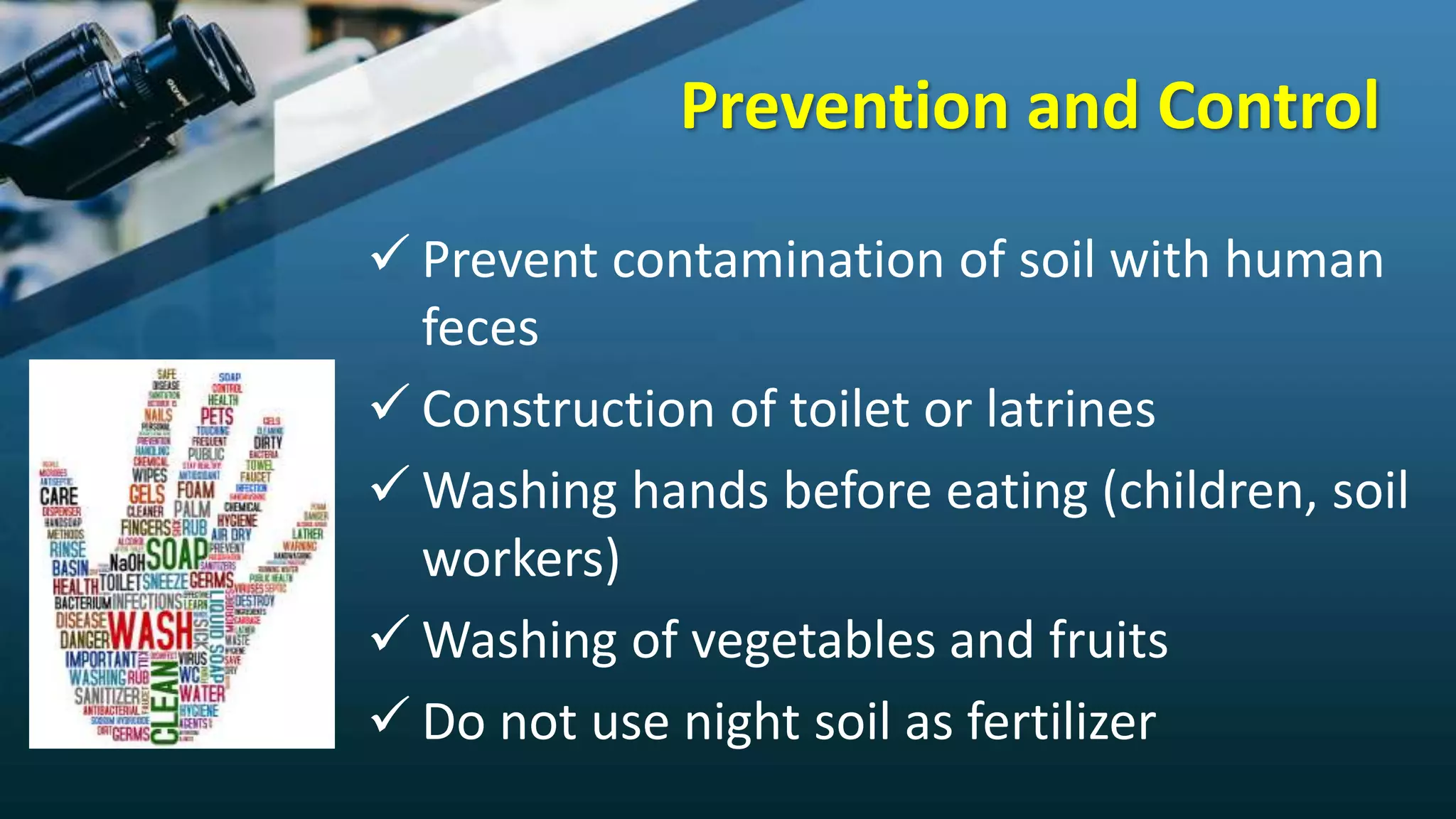 Soil transmitted helminths | PPTX