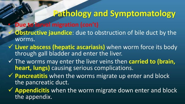 Soil transmitted helminths | PPTX | Digestive Disorders | Diseases and ...