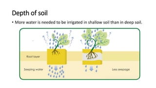 Soil water relation | PPTX