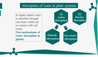 Soil-Water System_organized.pdf