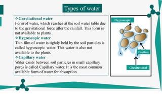 Soil-Water System_organized.pdf