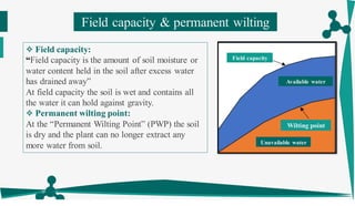 Soil-Water System_organized.pdf