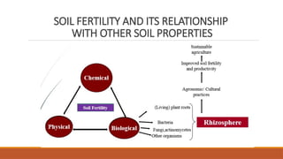 Lesson 1. Soil fertility and a paradigm shift to soil health | PPT