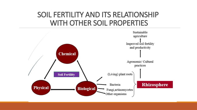 Lesson 1. Soil fertility and a paradigm shift to soil health | PPT