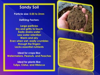 Introduction to Soil | PPTX