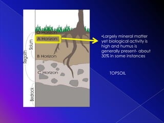 Introduction to Soil | PPTX