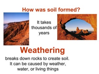 Soil(1) | PPT