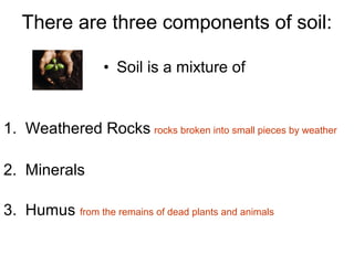 Soil(1) | PPT