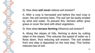 Erosion of soil by natural forces and human activities | PPT