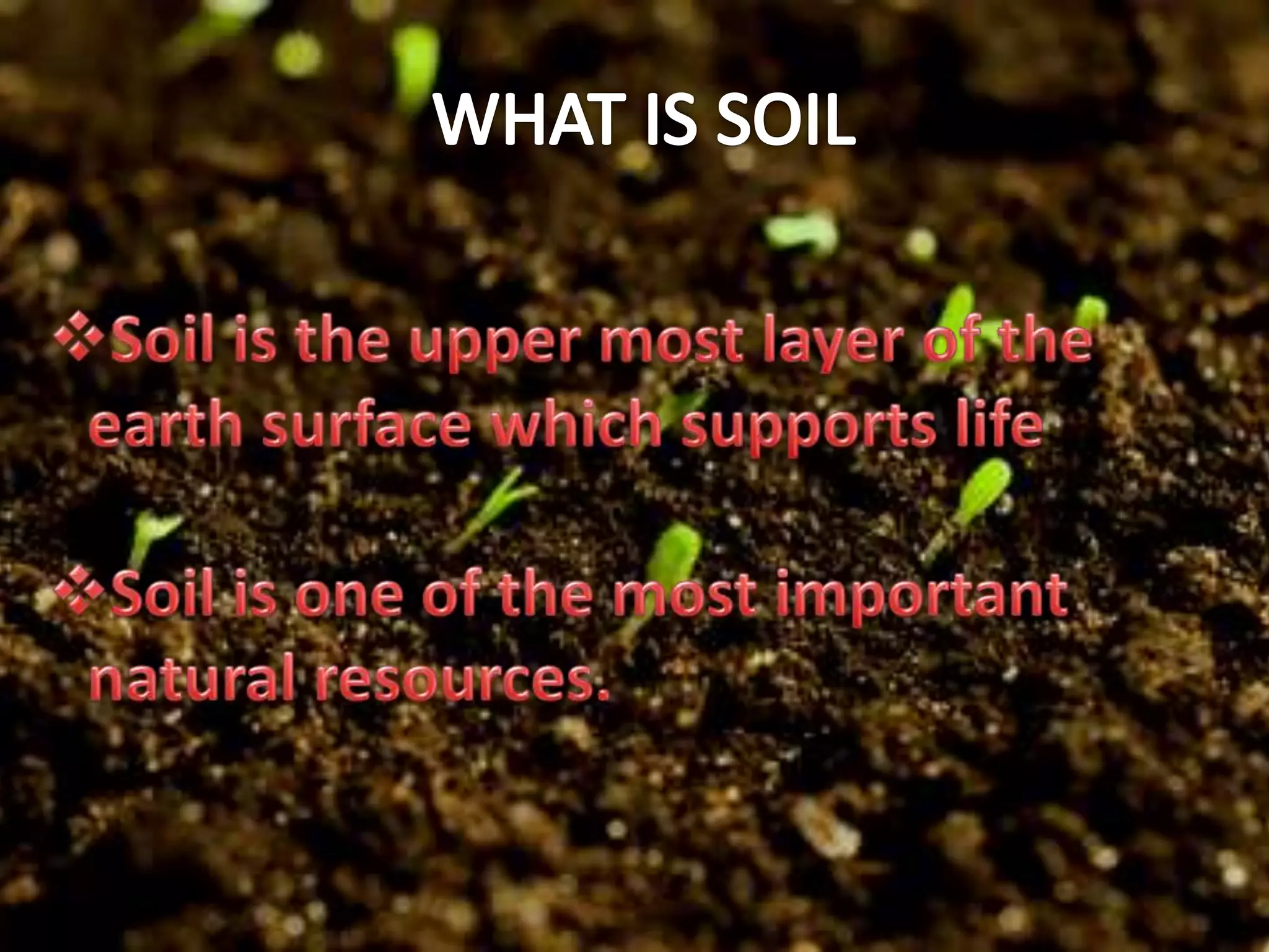 Soil Question And Answers | PPTX