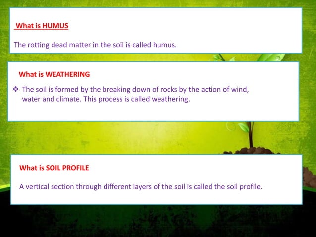 Soil Question And Answers | PPTX | Agriculture | Industries