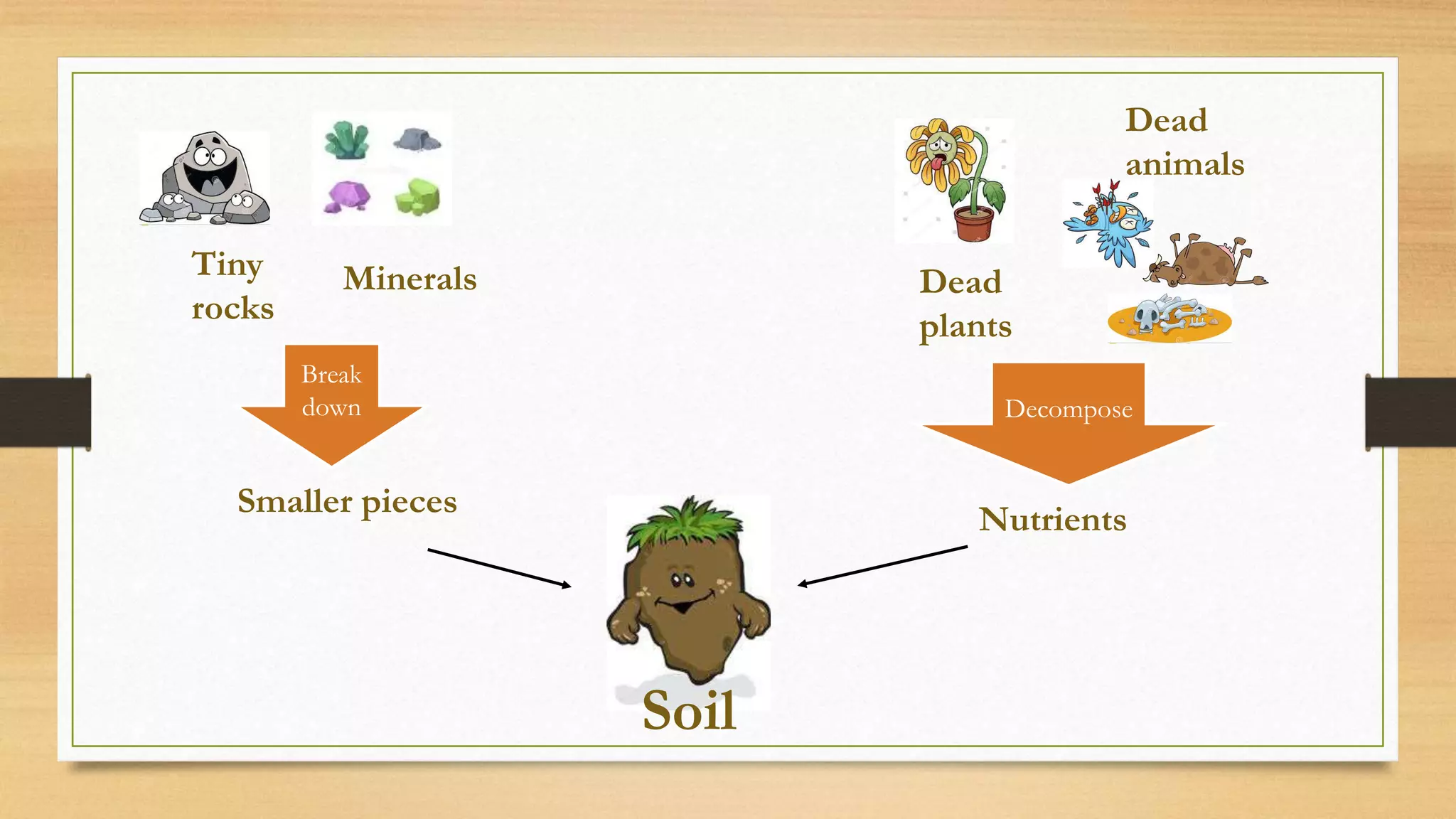 Where does Soil come from? | PPTX