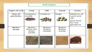 Where does Soil come from? | PPTX