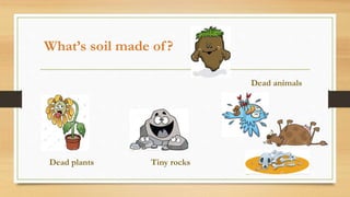 Where does Soil come from? | PPTX