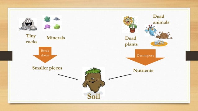 Where does Soil come from? | PPTX | Geology | Science
