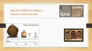 Where does Soil come from? | PPTX