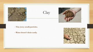 Where does Soil come from? | PPTX