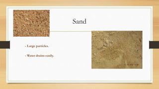 Where does Soil come from? | PPTX