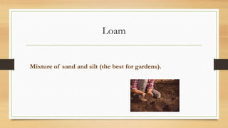 Where does Soil come from? | PPTX