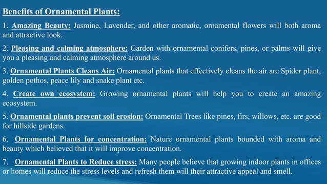 Presentation on Ornamental Plants and their care