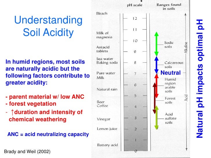 Soil acidity