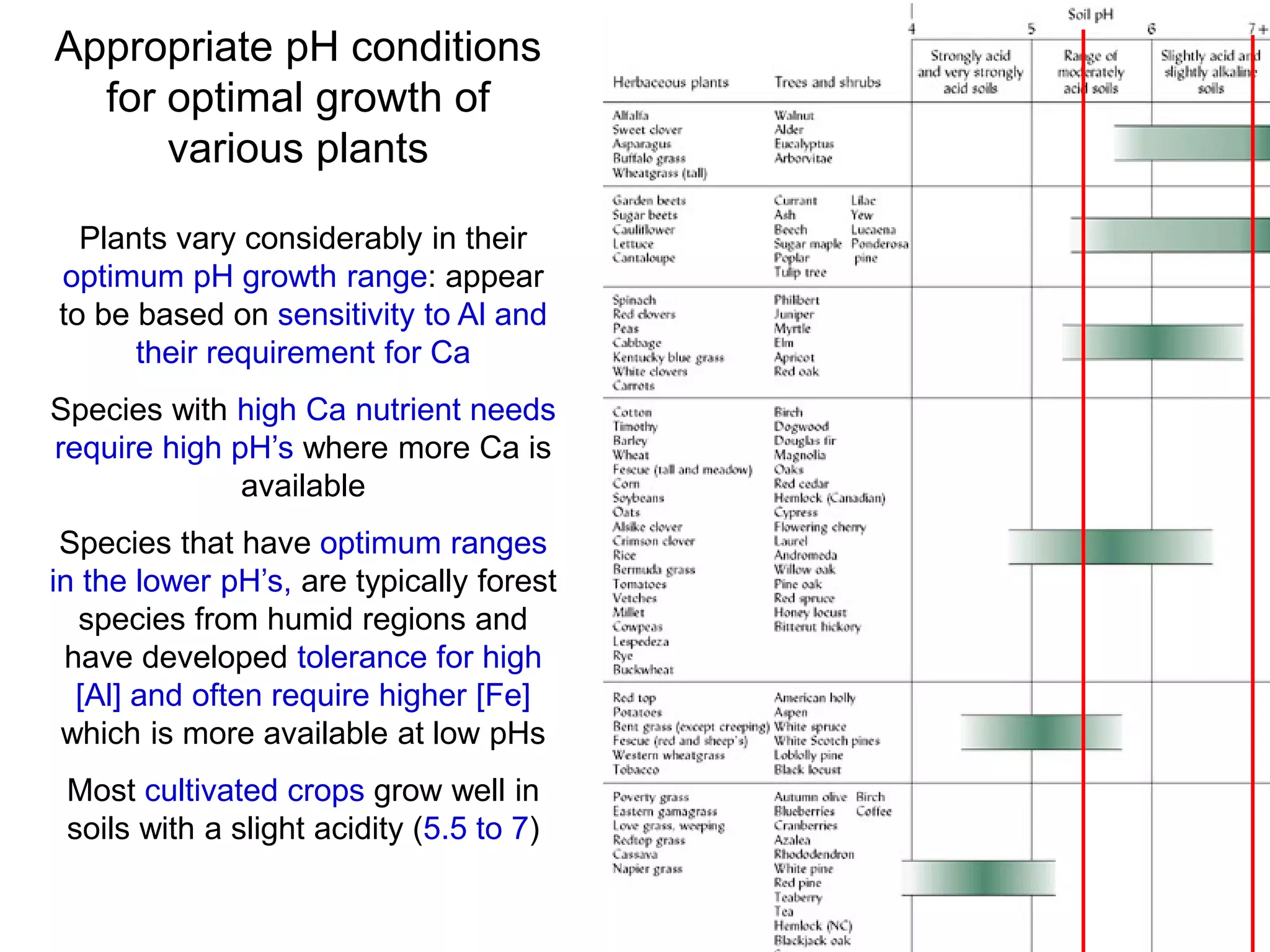 Soil Acidity_Soil-Science-2600.pdf