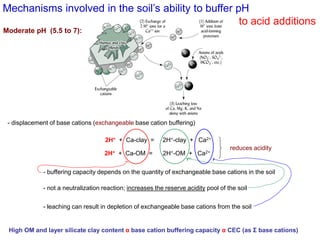 Soil Acidity_Soil-Science-2600.pdf