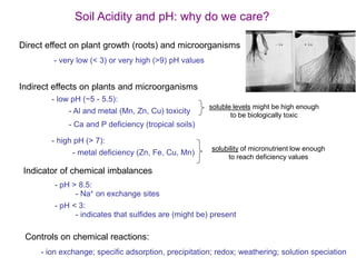 Soil Acidity_Soil-Science-2600.pdf