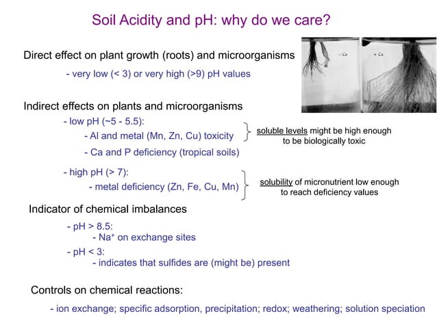 Soil Acidity_Soil-Science-2600.pdf