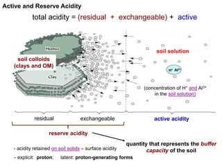 Soil Acidity_Soil-Science-2600.pdf