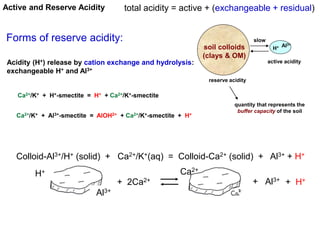 Soil Acidity_Soil-Science-2600.pdf