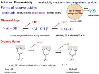 Soil Acidity_Soil-Science-2600.pdf