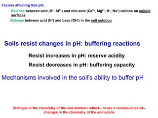 Soil Acidity_Soil-Science-2600.pdf