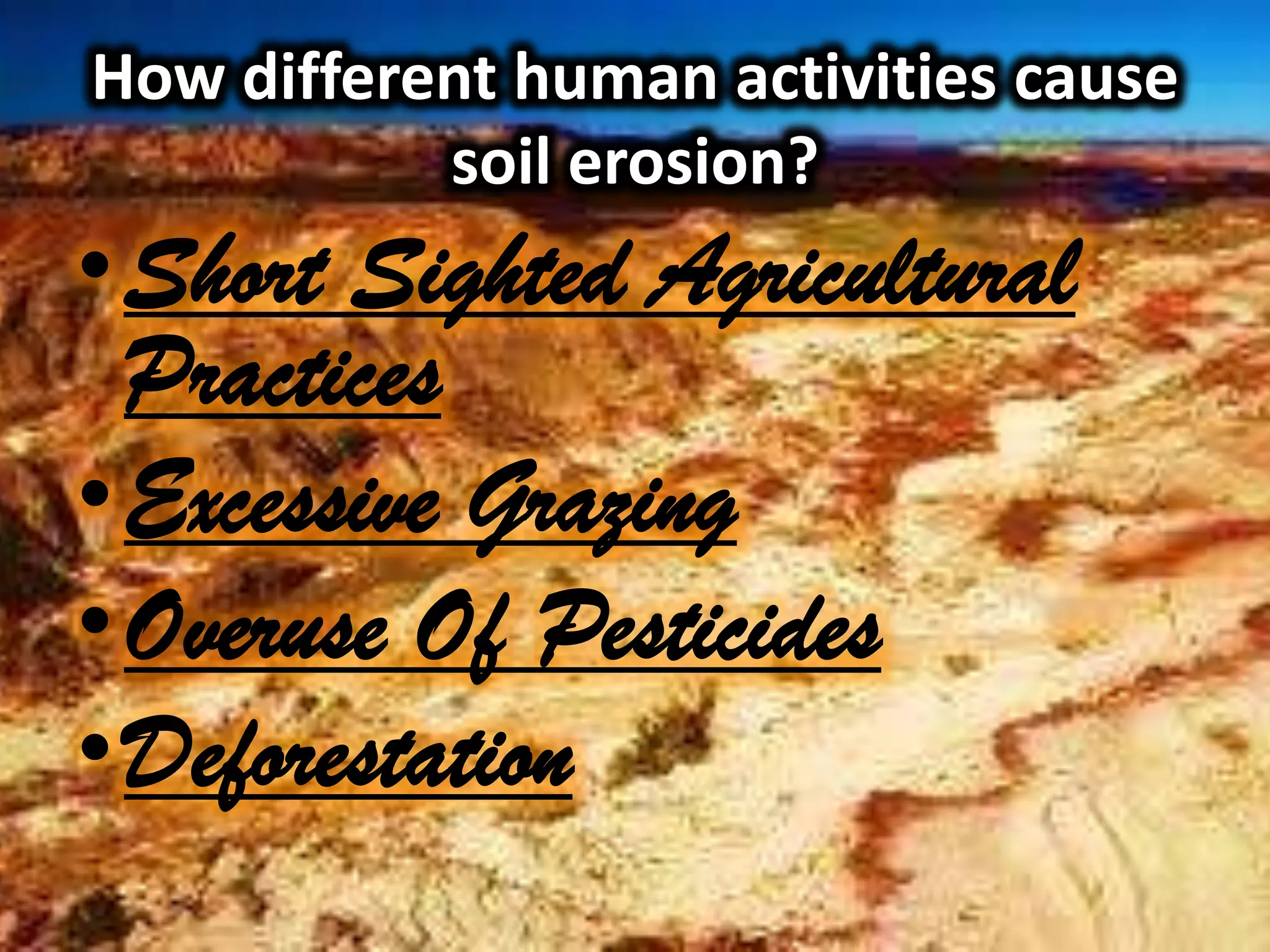 Soil activity | PPT