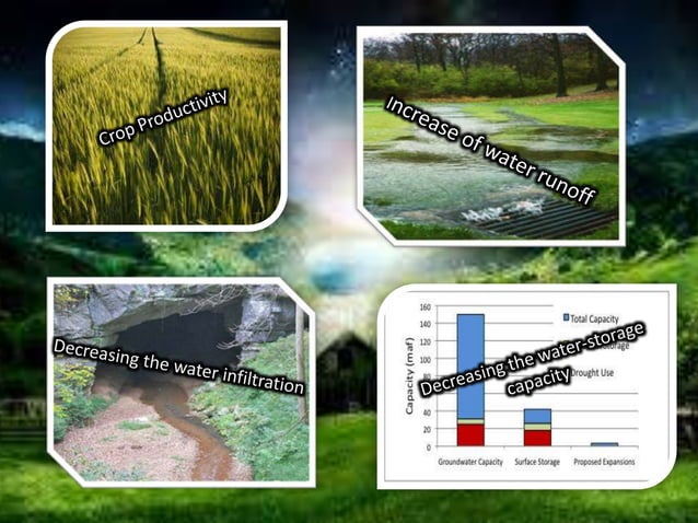 Soil activity | PPT