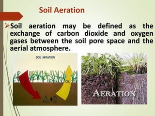 Soil Air Composition and Soil Aeration | PPTX