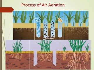 Soil Air Composition and Soil Aeration | PPTX