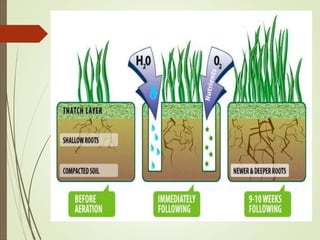 Soil Air Composition and Soil Aeration | PPTX