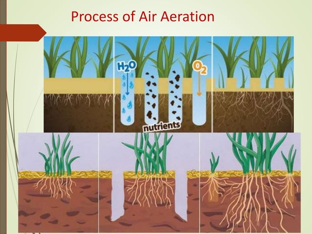 Soil Air Composition and Soil Aeration