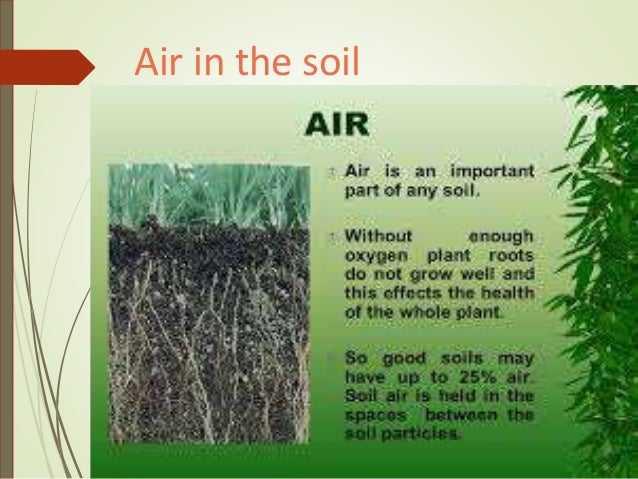 Soil Air Composition and Soil Aeration