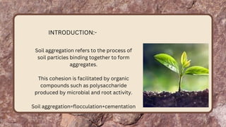 Soil aggregation a key parameter for maintaining soil health Asutosh ...