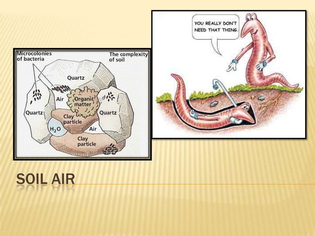 Soil air | PPT