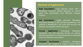SOILAMENDMENTBACTERIAUSED IN AGRICULTURE-PART-I.pptx