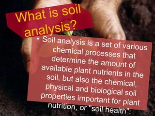 Soil analysis | PPTX