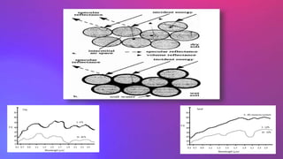Soil analysis | PPTX