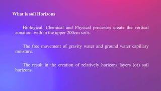 Soil analysis | PPTX