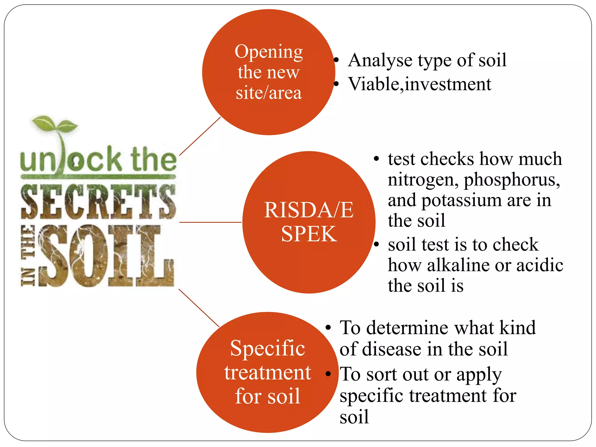Soil analysis presentation (amie) | PPTX